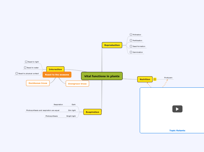 Vital functions in plants - Mind Map